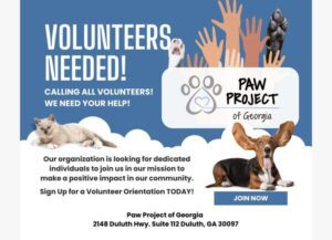 Teen Resources - Ready Set Gwinnett